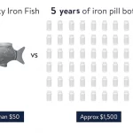 Lucky Iron Fish – Vegan Nutrition